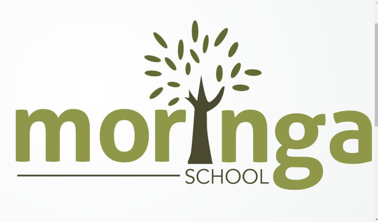 project vertical timeline moringa school